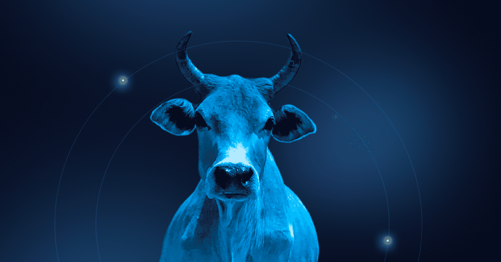 Why Bigpandas Aiops Innovations Are Gaining Media And Analyst